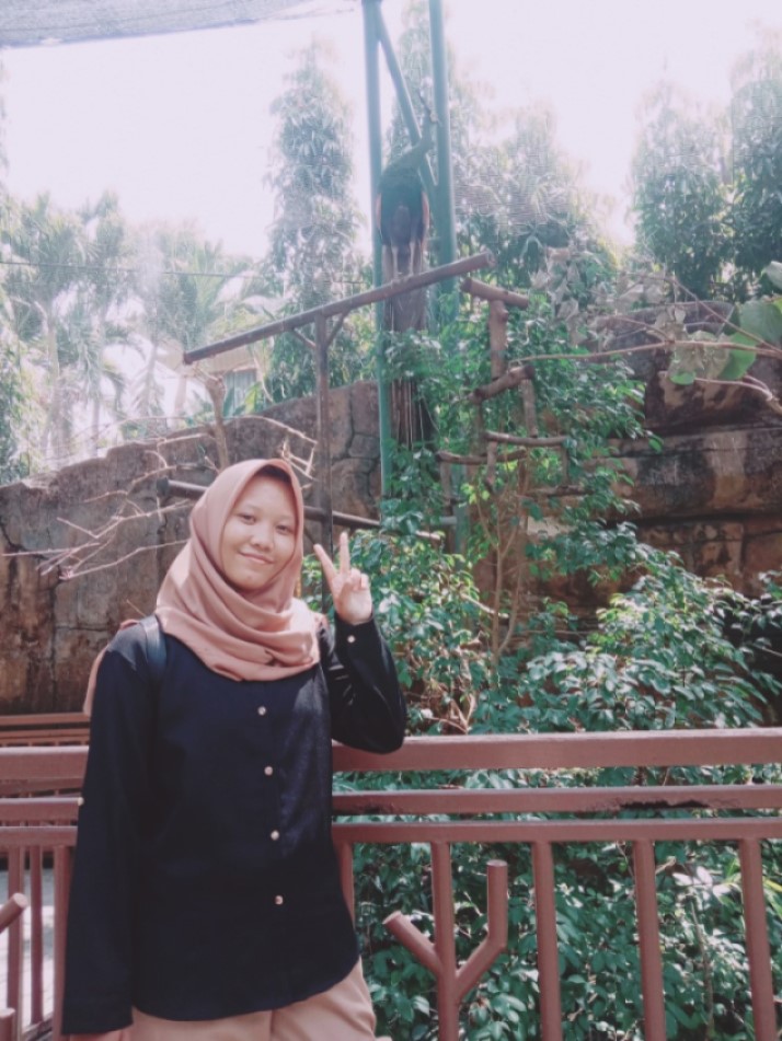 My Portfolio - Arina